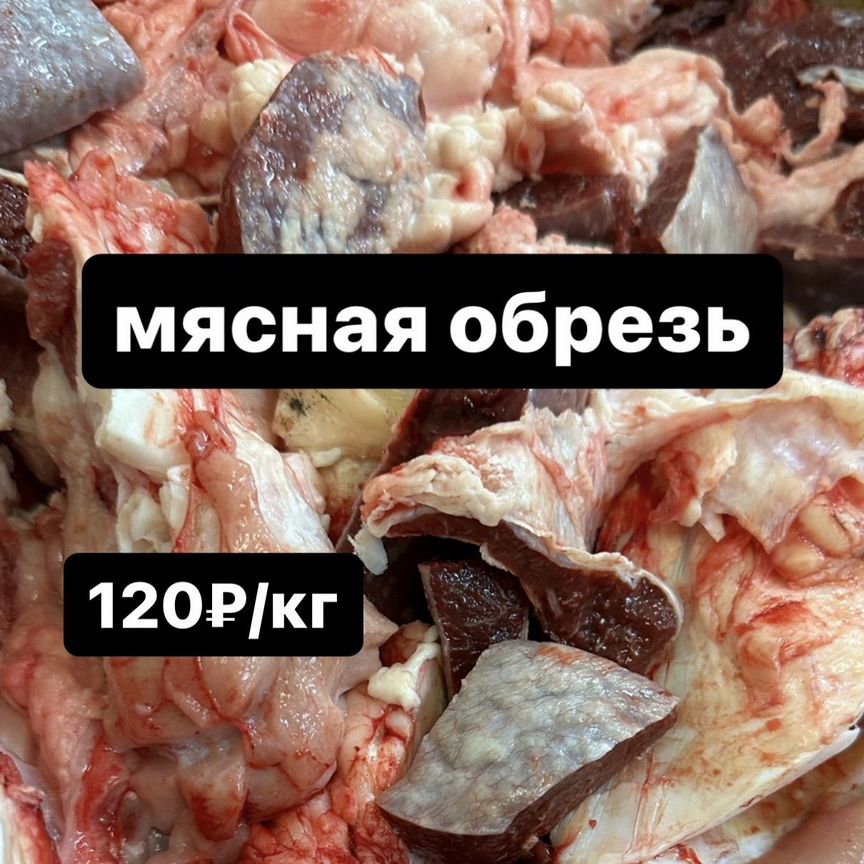 Обрезь мясная телятина