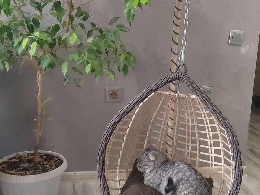 Кресло капля для кошечки