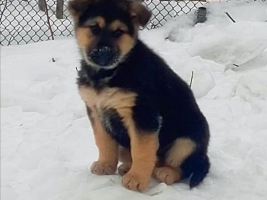 Девчульки красотульки