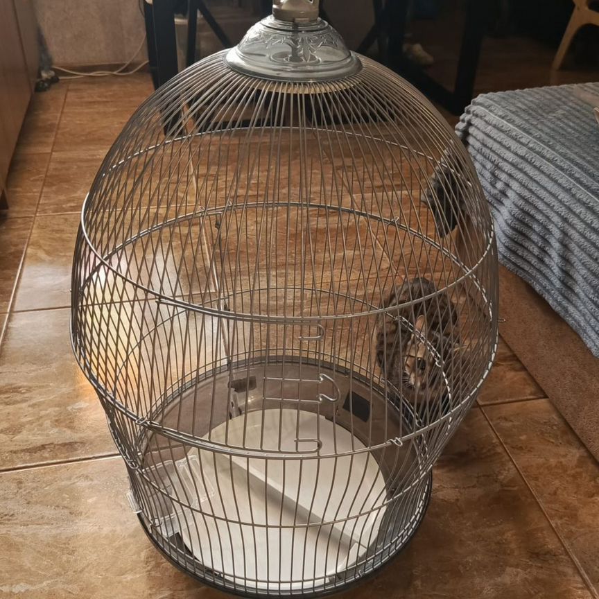 Клетка для крупного попугая
