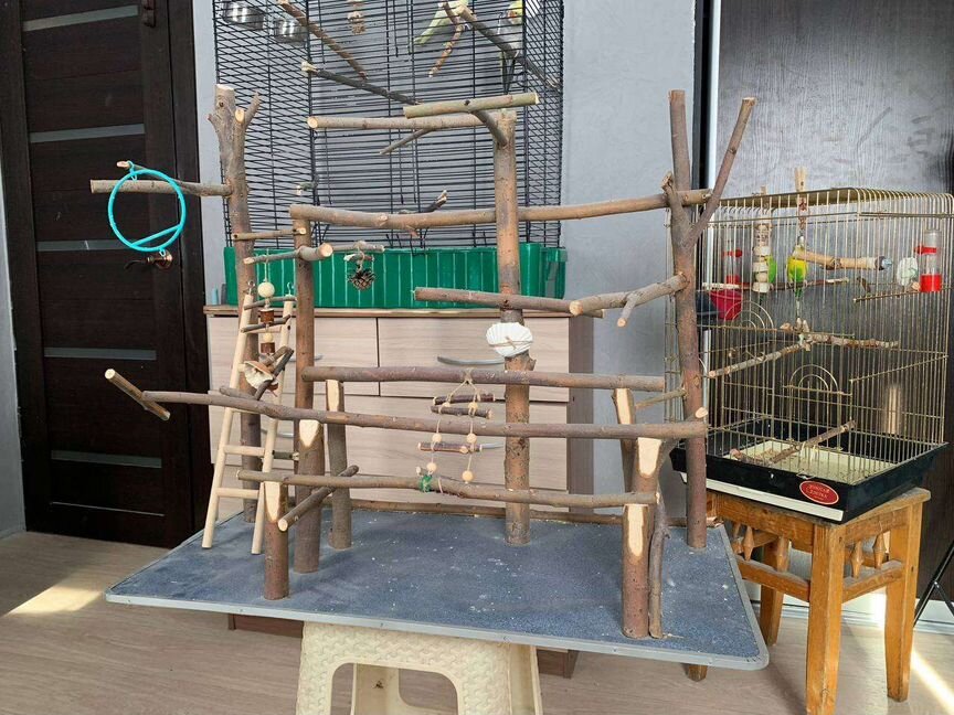 Стенд для птиц