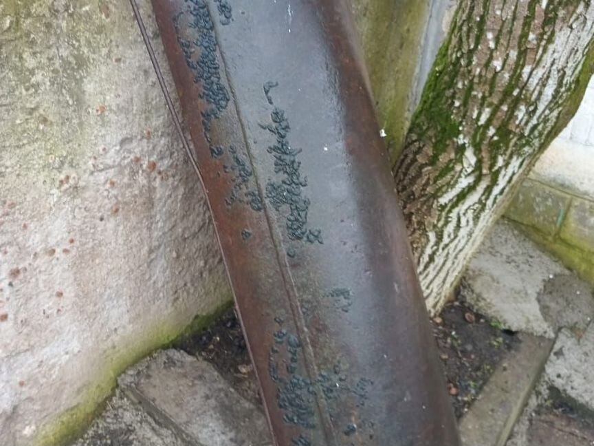 Корыто железное для животных