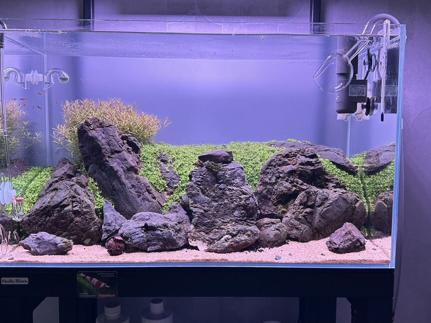 Аквариум 60л optiwhite