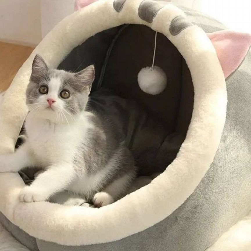 Домик для кошки