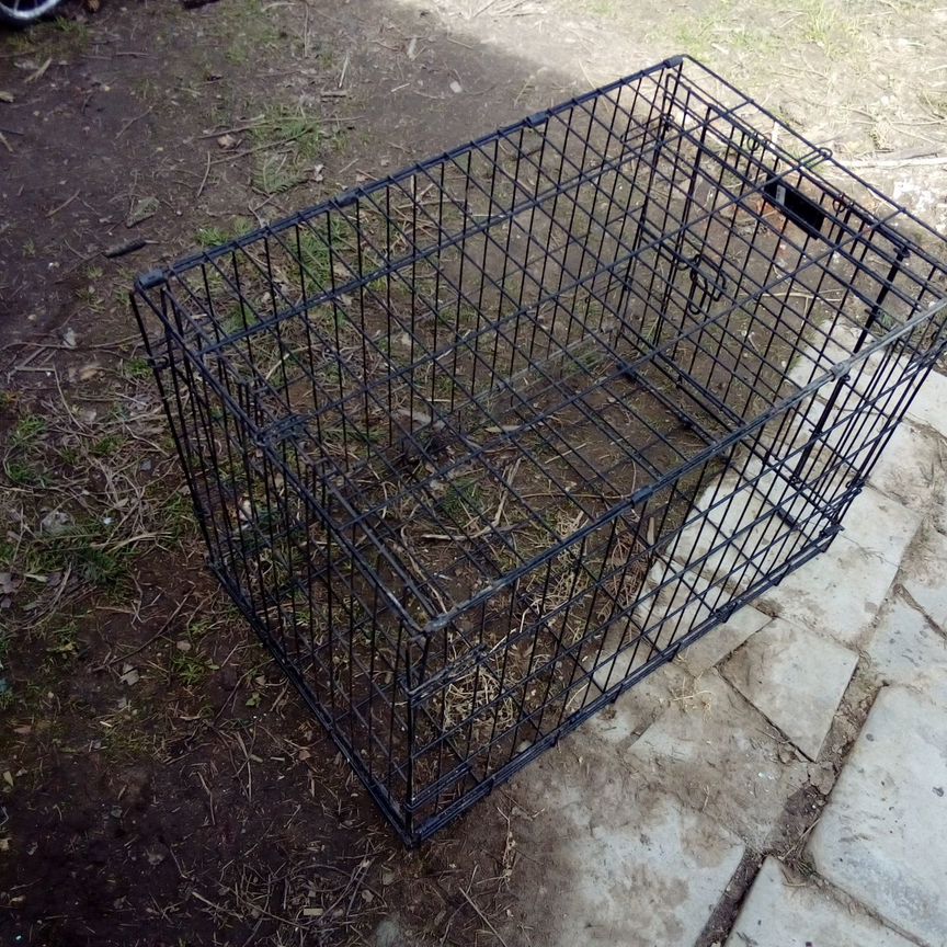 Клетка