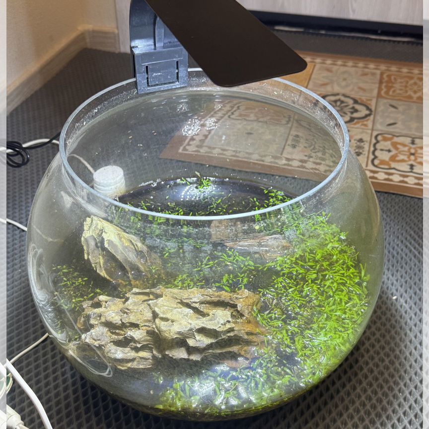 Круглый аквариум 20л. с петушком