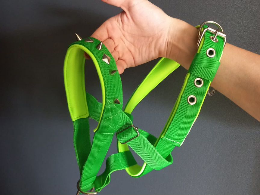 Недоуздок для собак (Халти )