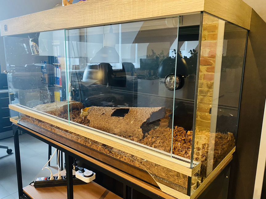 Террариум для рептилий бу