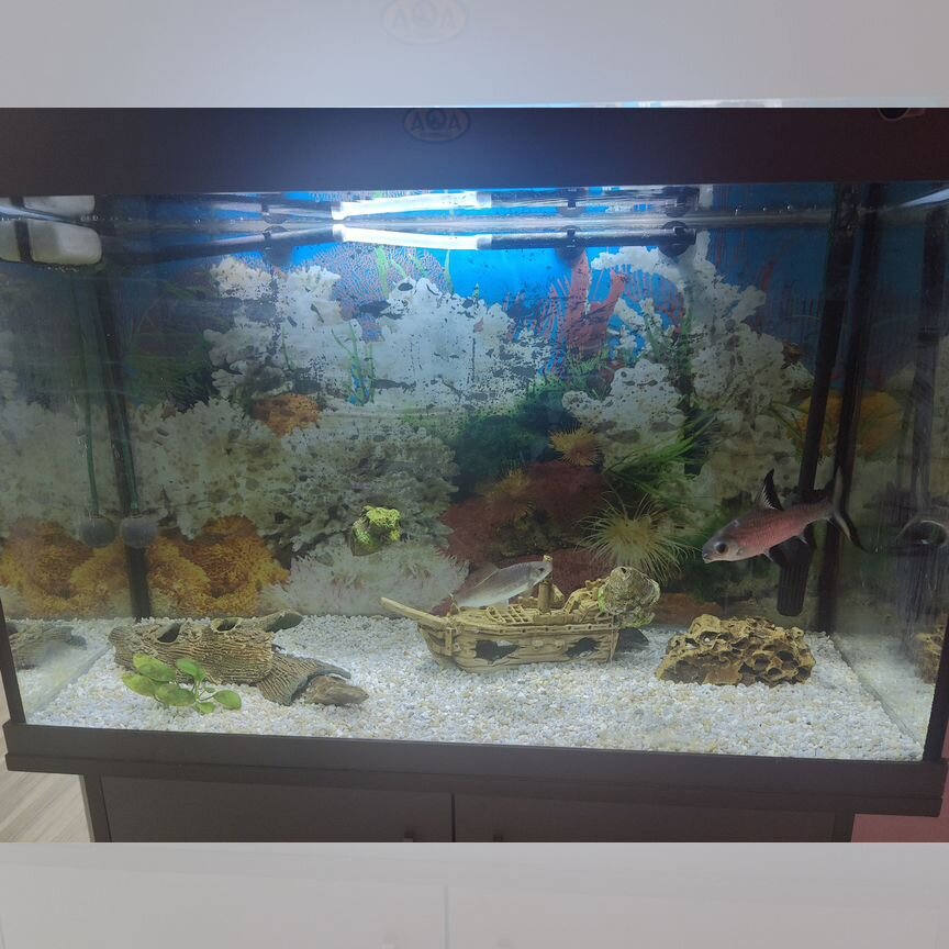 Аквариум 140 литров с оборудованием