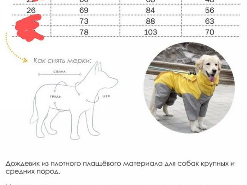 Комбинезон для средней собаки