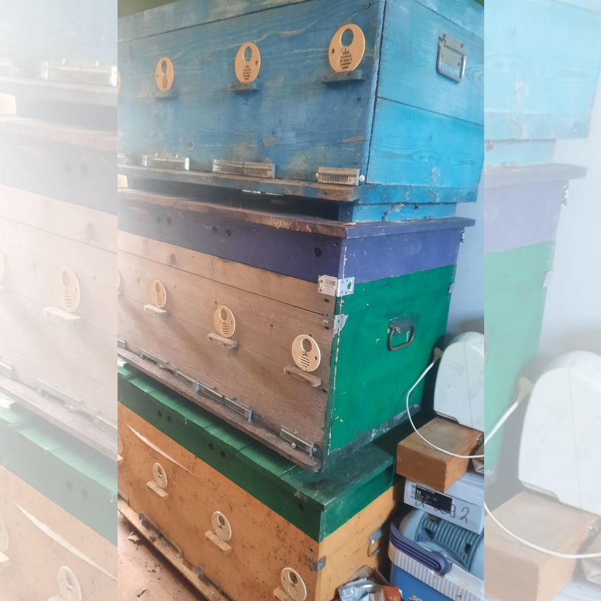 Продам ульи для пчел бу