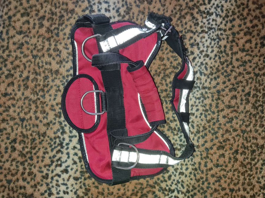 Перчатка,намордник