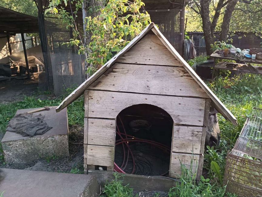 Будка для большой собаки/обмен