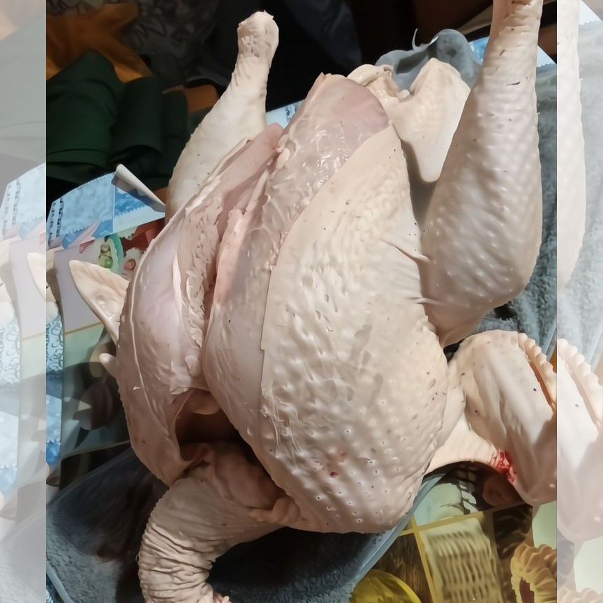 Продам индюшку