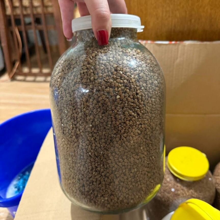 Гречка для собак