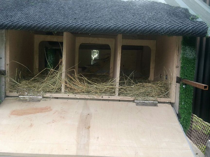 Продам курятник