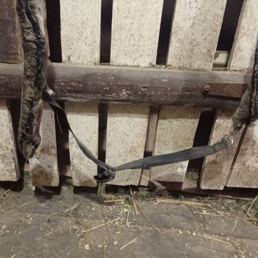 Шлея(упряжь) для лошади(само пошив)