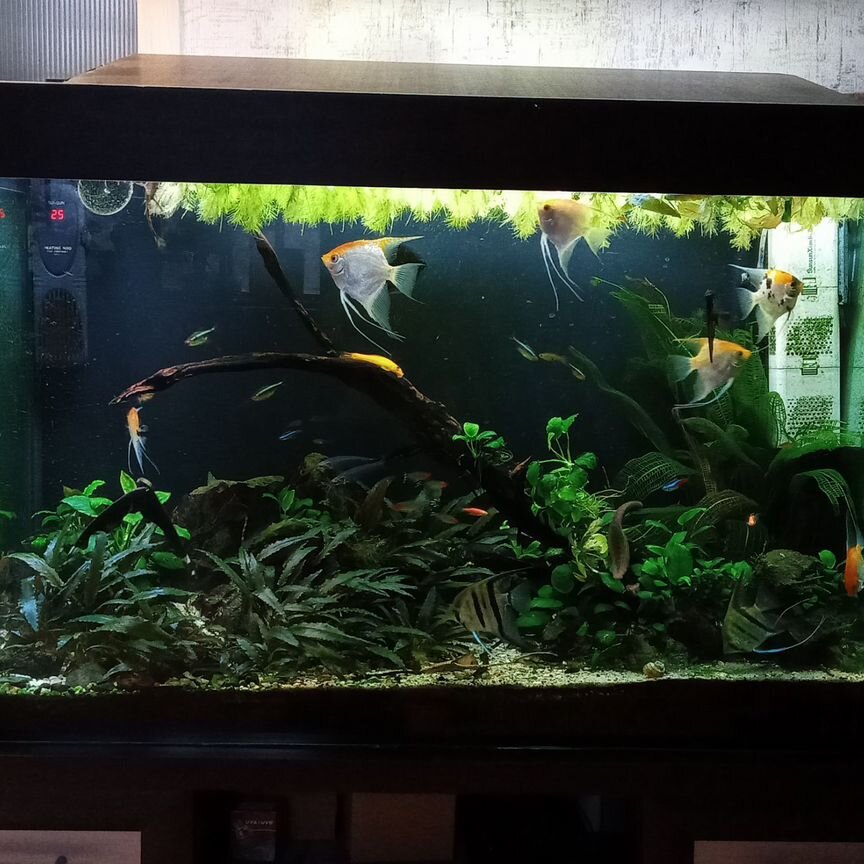 Аквариум полный комплект