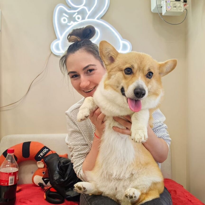 В добрые руки, друг семьи