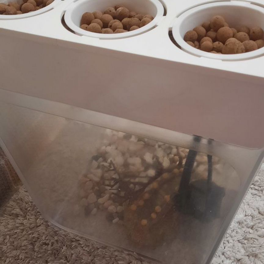 Аквариум / экосистема для рыб