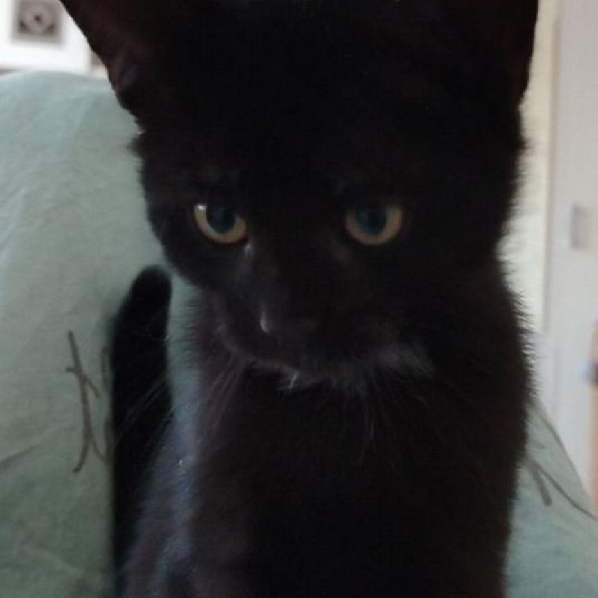 Мальчик 3 месяца