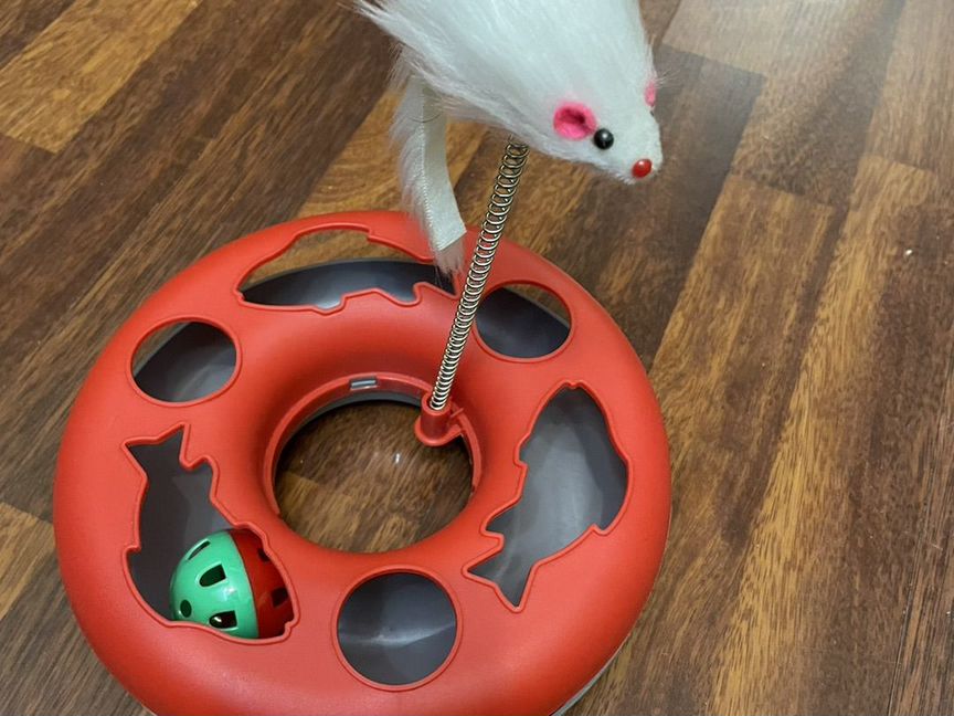 Трек для кошек с мячиком Petmax