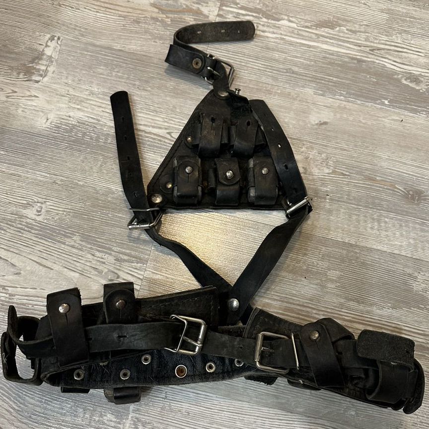 Шлейка с грузами для собак