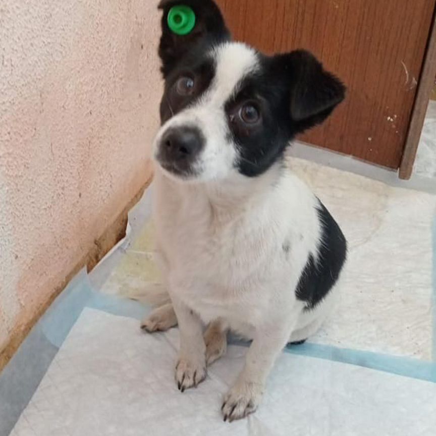 Милая малышка ищет семью