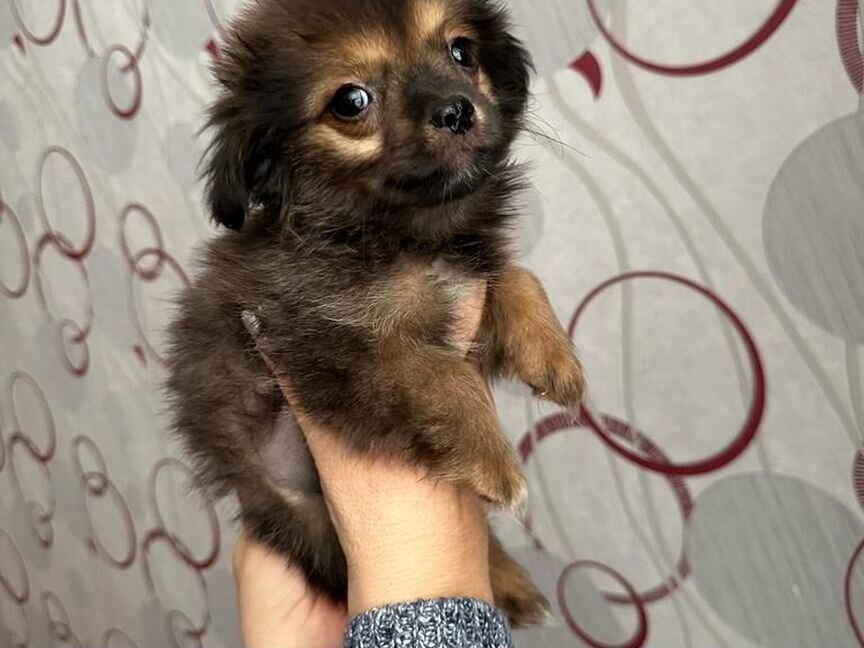 Клёвые детки