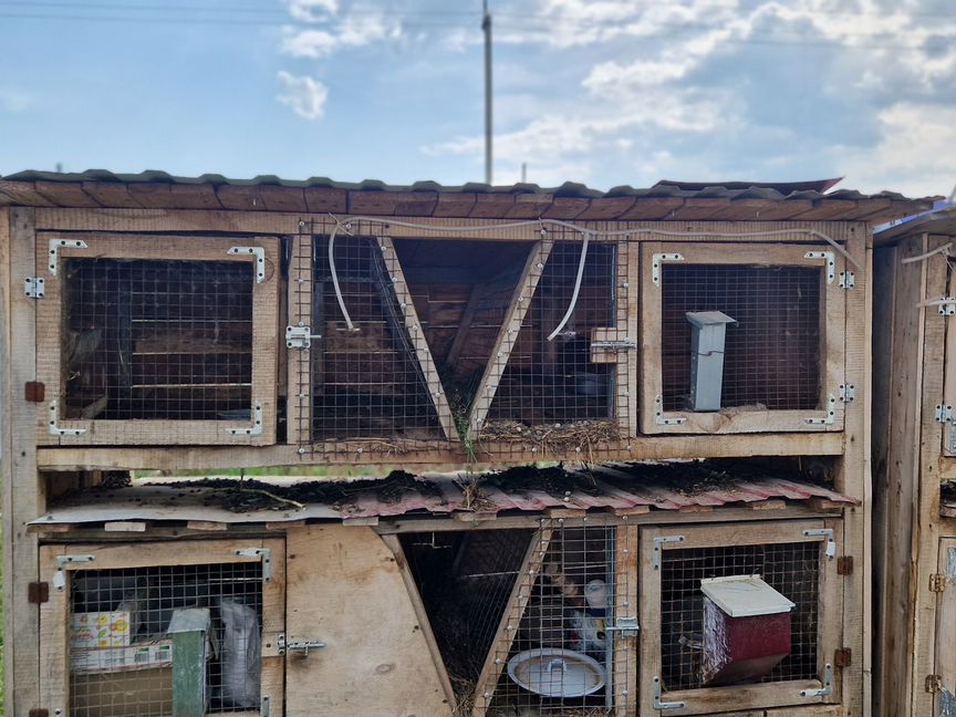 Крольчатник