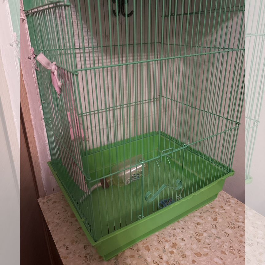 Клетка для грызунов крыс