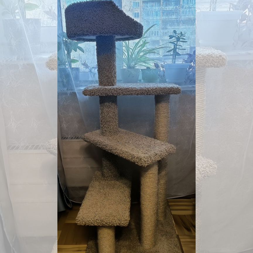 Когтеточка