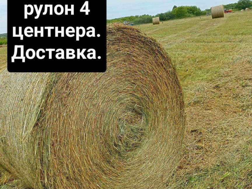 Продам сено в рулонах