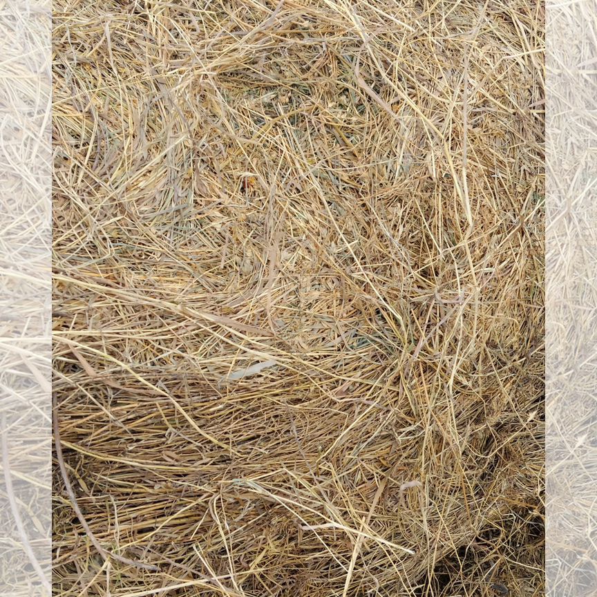 Сено в рулонах