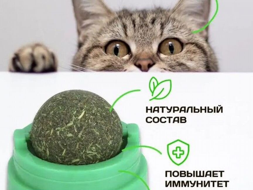 Кошачья мята, леденец с кошачьей мятой