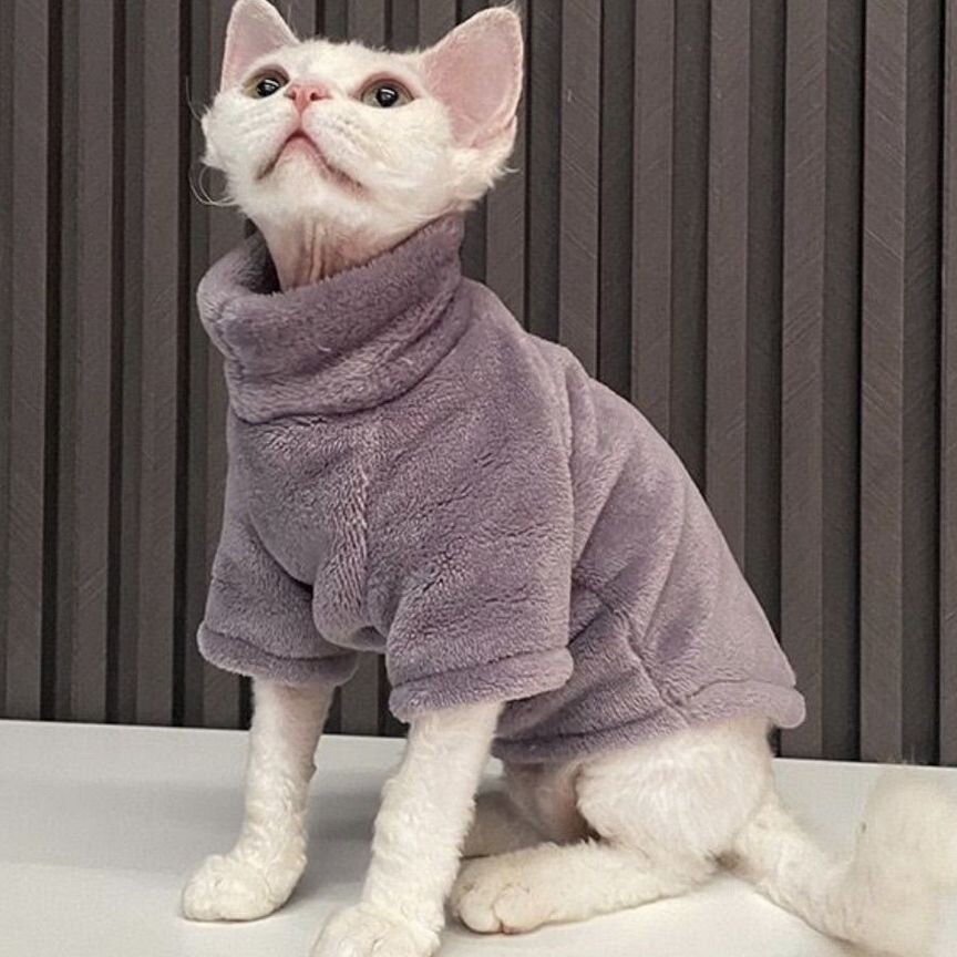 Одежда для кошек