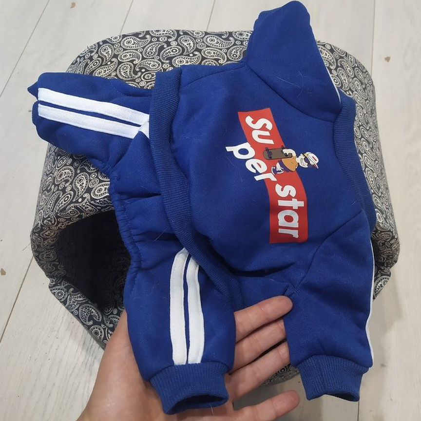 Лежанка для маленького щенка, комбинезон и шлейка