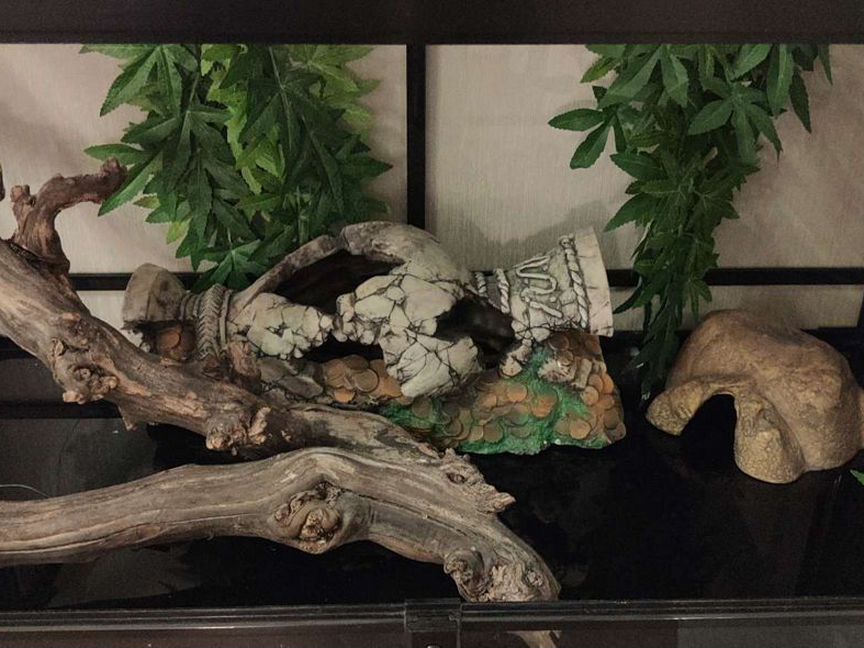 Декор для террариума