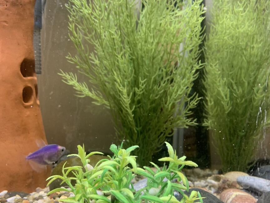 Набор для аквариума