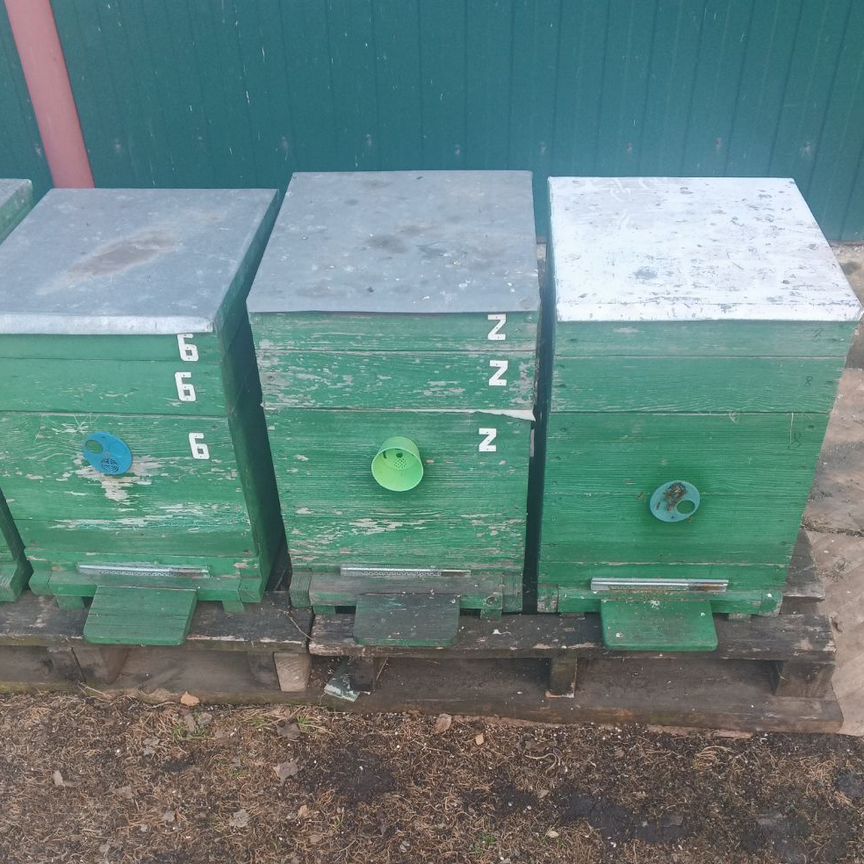 Улики для пчел