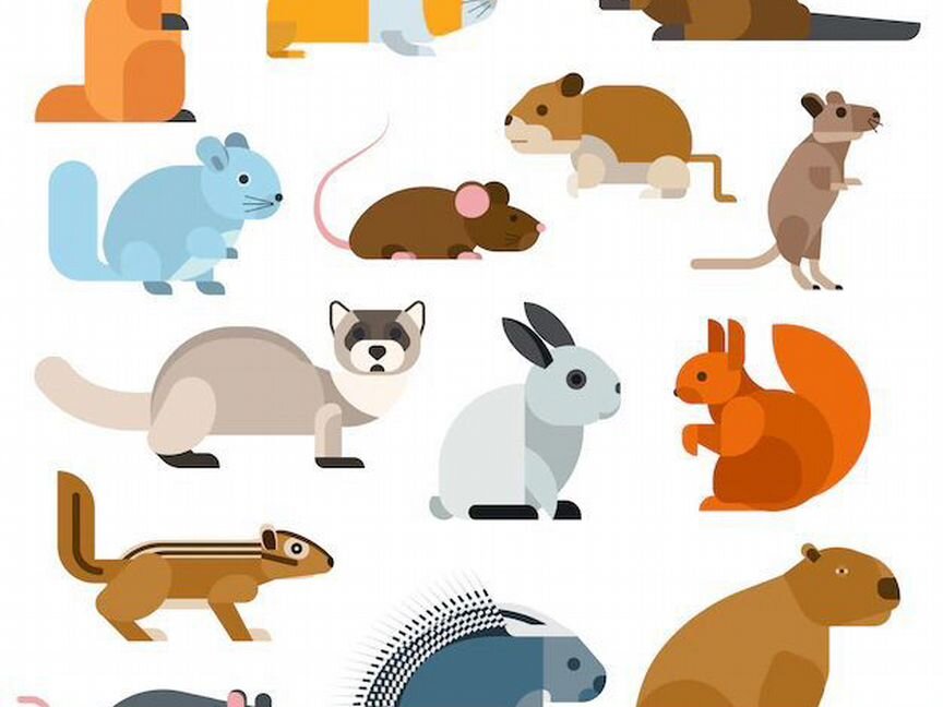 Приют и передержка мелких животных