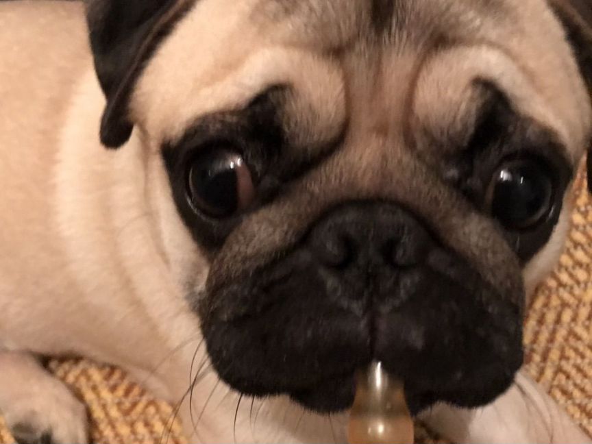 Ищем невесту