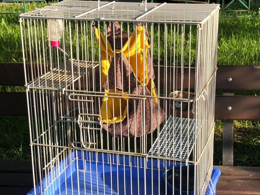 Клетка для шиншилл дегу крыс грызунов