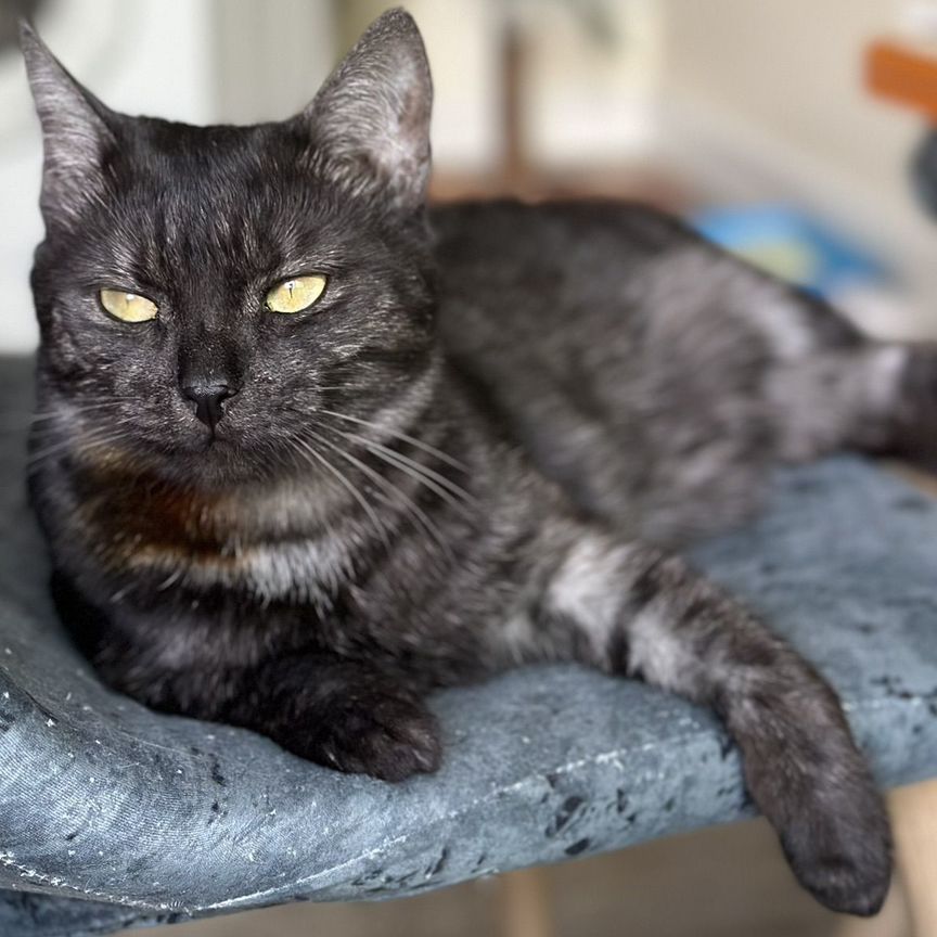 Гаечка в самые надёжные руки