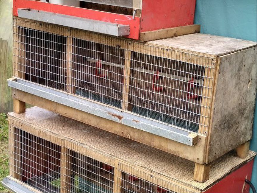 Клетки для кур бройлеров