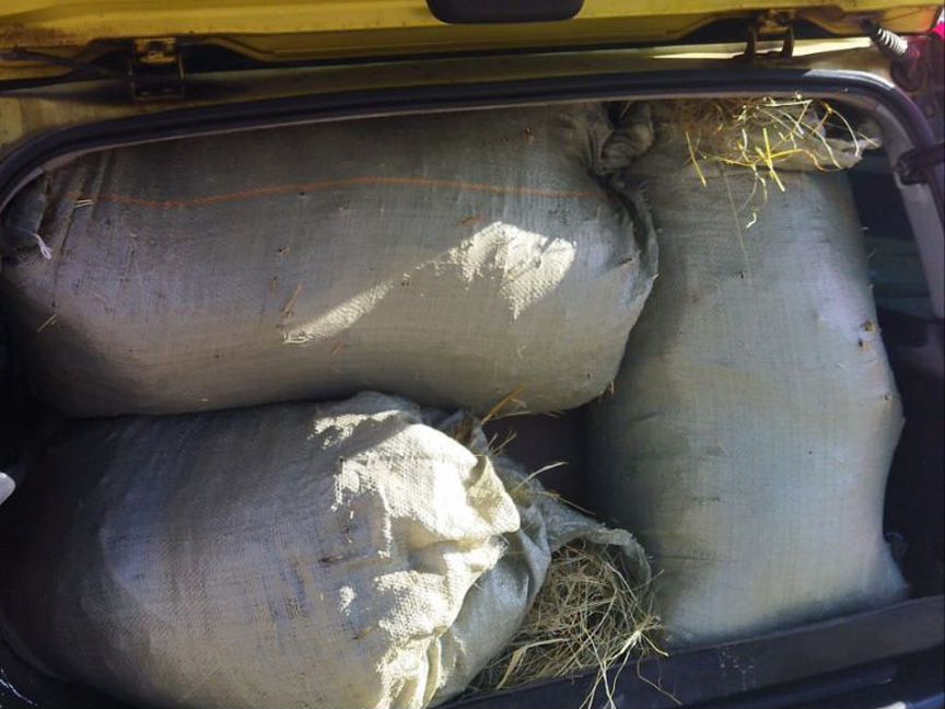 Сено на подстилку