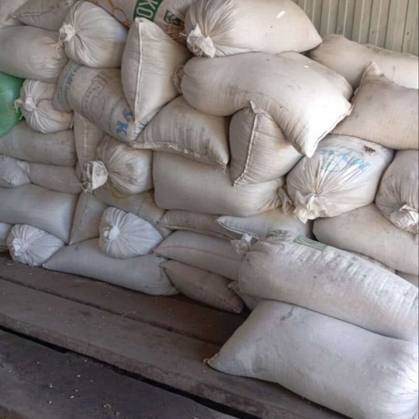 Продам пшеница и ячмень