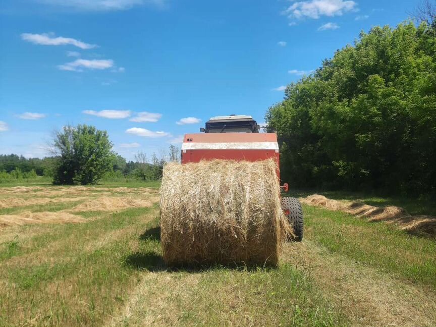 Сено в рулонах 2023
