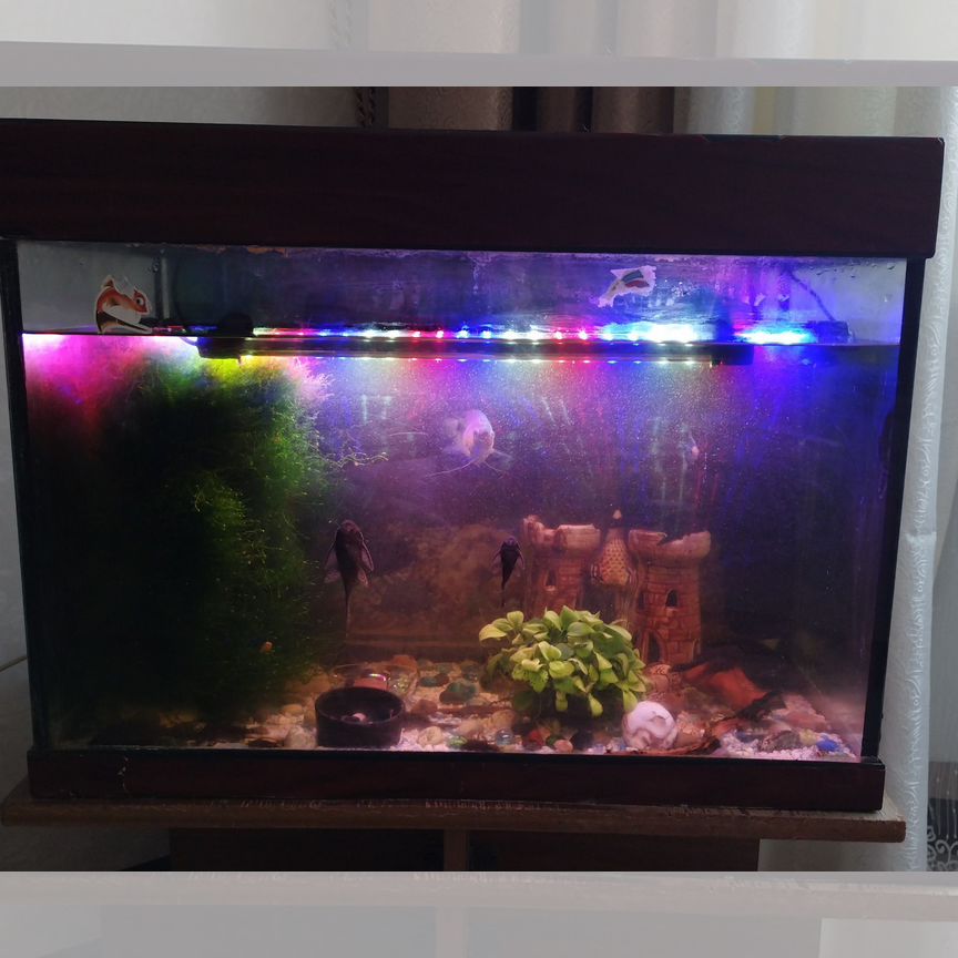 Аквариум с рыбками