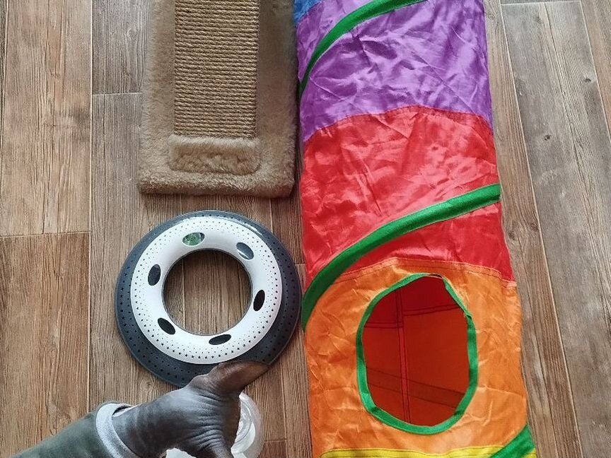 Аксессуары для кошек